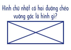 Hình chữ nhật có 2 đường chéo vuông góc là hình gì? Giải đáp